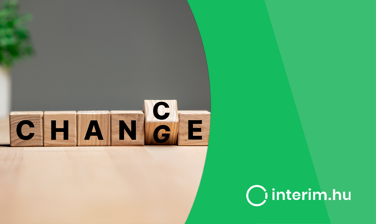 Change management: who is responsible and what is the role of interim ...